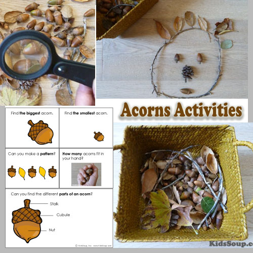 Squirrels Preschool and Kindergarten Activities and Lessons | KidsSoup
